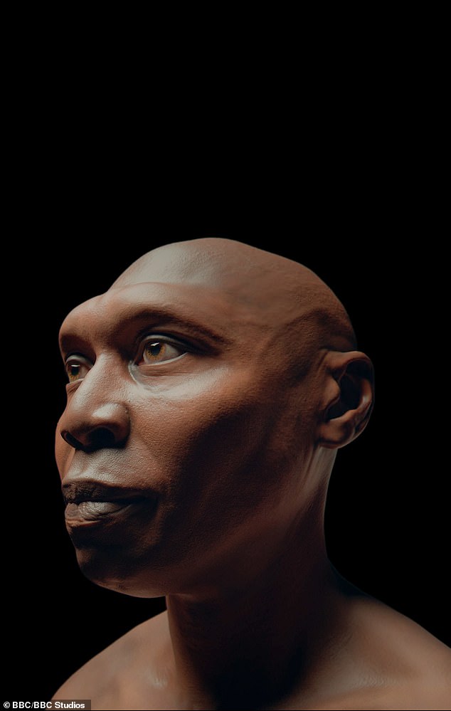 Revealed: The most scientifically accurate faces of ancient human species