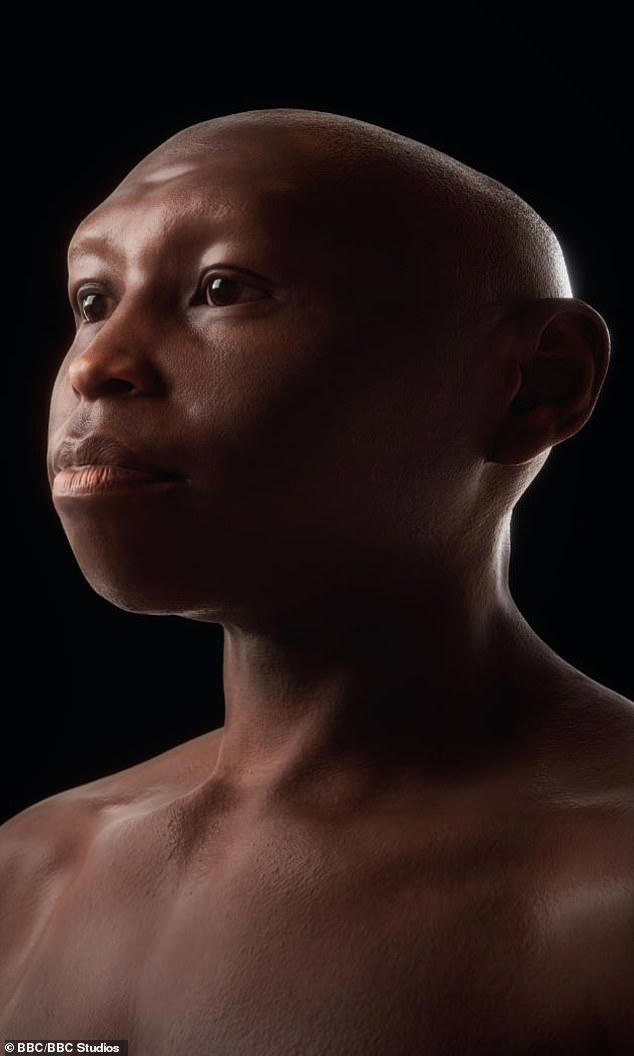 Revealed: The most scientifically accurate faces of ancient human species