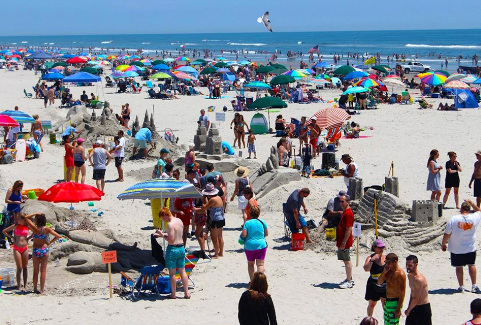 County Fairs, Blueberry Festival, and More Fun Things To Do this ...