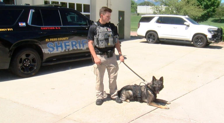 ‘A force multiplier:’ EPSO’s newest K9 Mako and handler to patrol the ...