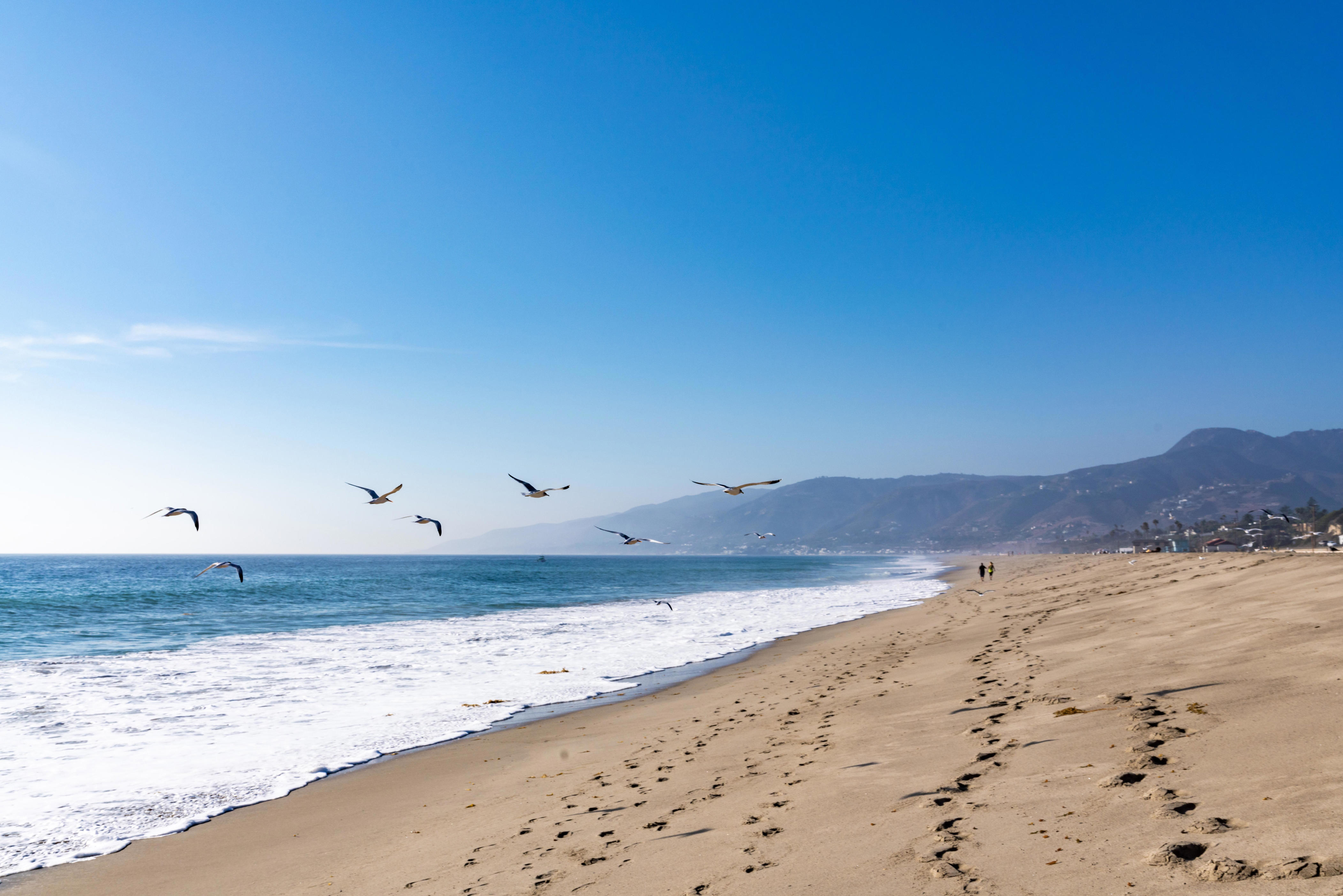 County Warns Beachgoers of High Bacteria as Temps Rise