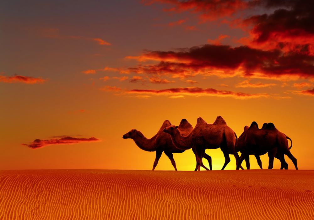 15 Largest Deserts and Their Indigenous Communities