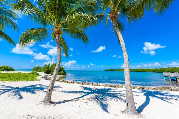 20 Florida Keys Islands to Explore