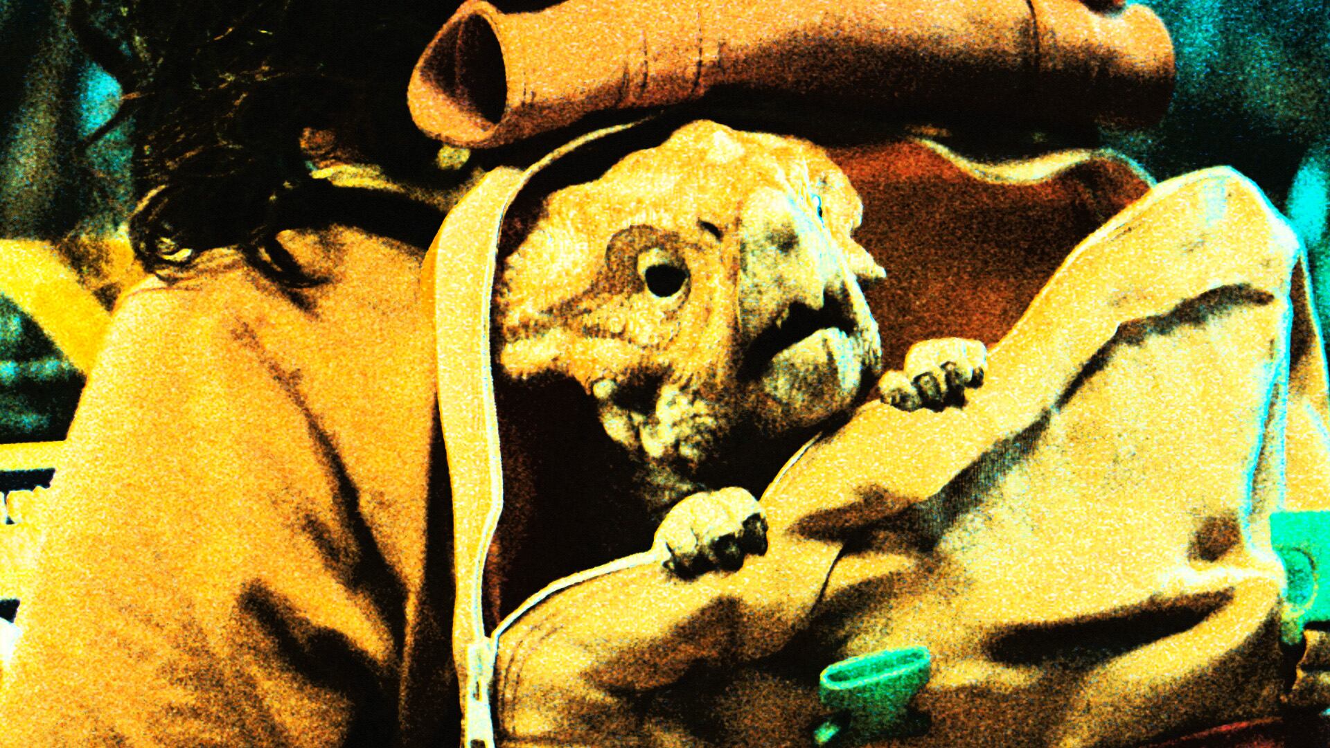 This Adorable Dino From ‘Jurassic World Rebirth’ Is the Next Baby Yoda