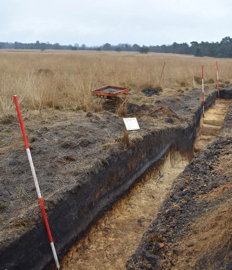 Archaeologists Discover Roman Army Camp in the Netherlands—15 Miles ...