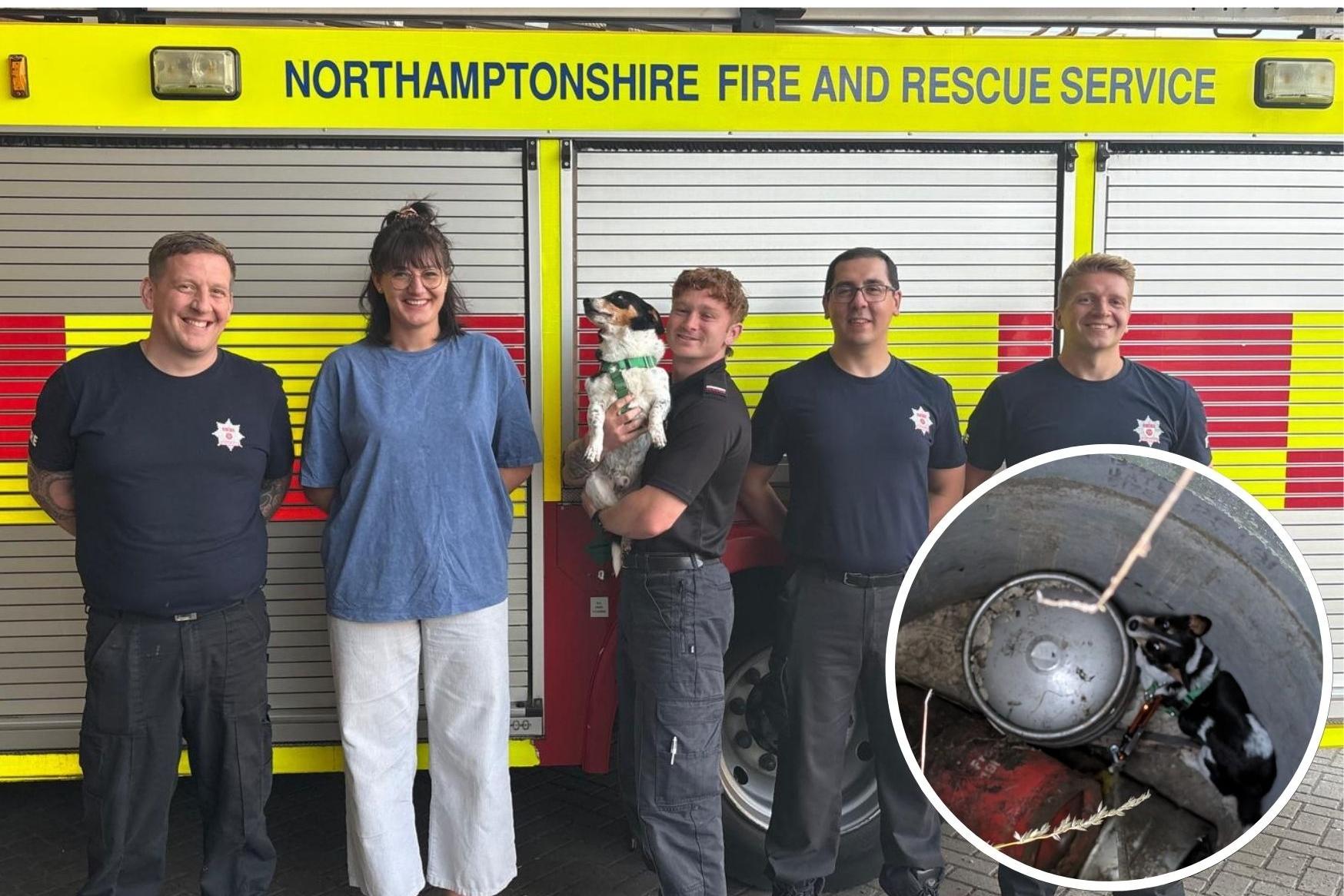 Corby dog owners 'beyond grateful' after missing pet rescued by ...
