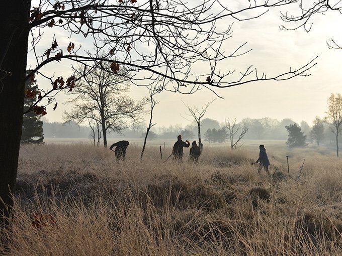 Archaeologists Discover Roman Army Camp in the Netherlands—15 Miles ...