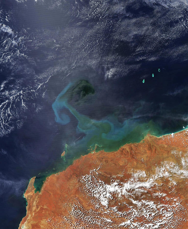 It isn't all bloom and doom: Why algal blooms are becoming more prevalent