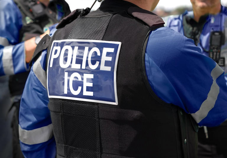 American fascism: ICE arrests U.S. citizen, then tells him to "shave ...