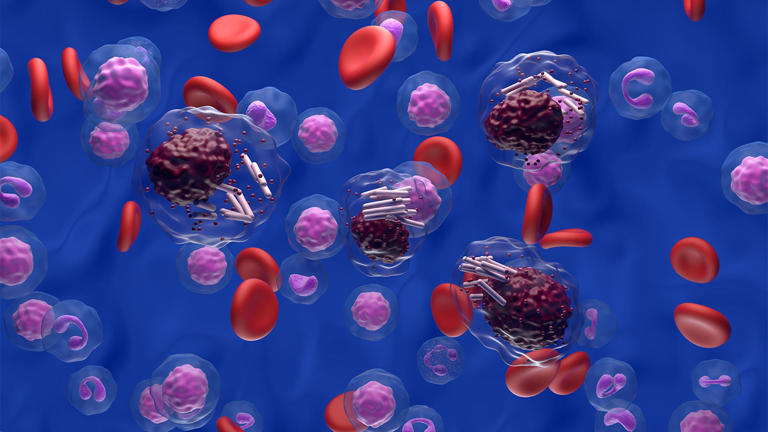 Time-Limited or Indefinite Therapy in CLL