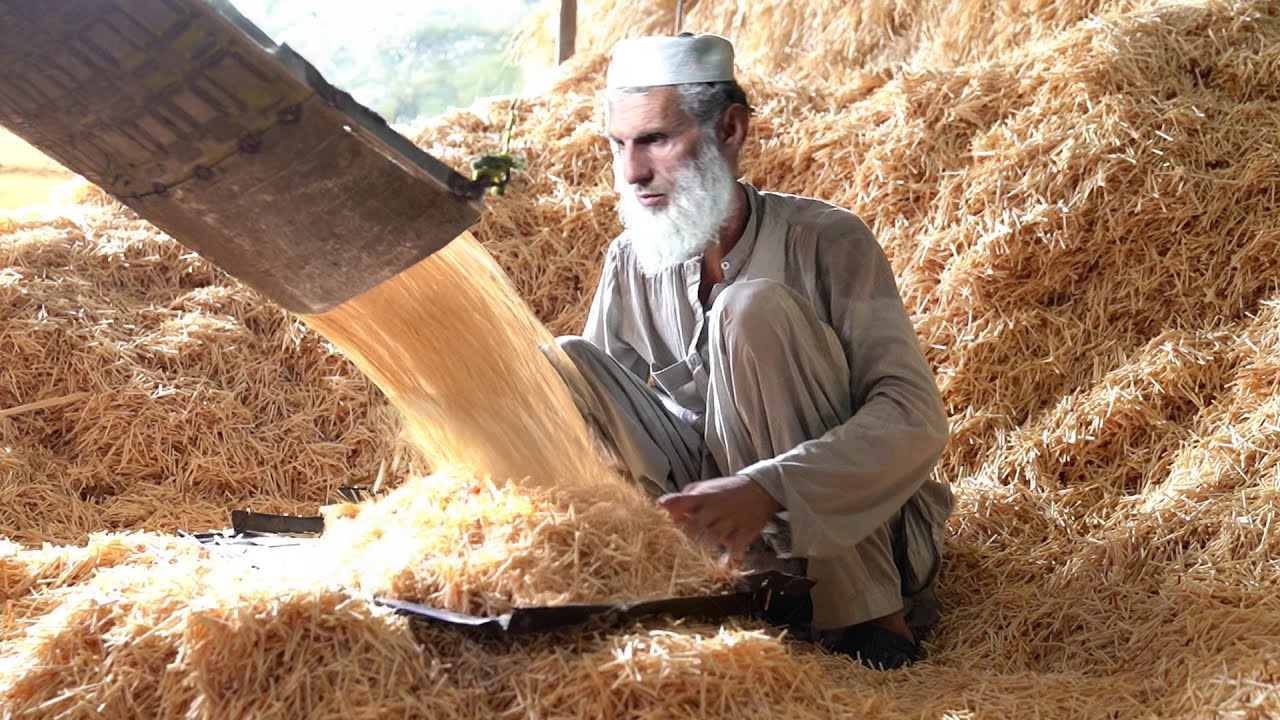 Amazing Way They Produce Millions of Matchsticks Per Hour