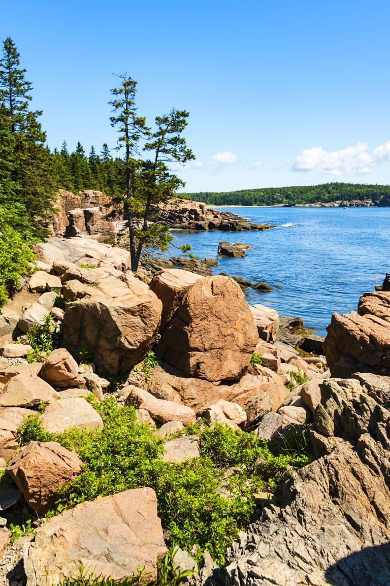 Get Free Admission to National Parks + Check Out Education Programs ...