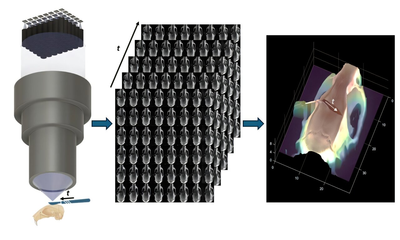 Surgical microscope uses 48 tiny cameras to offer precise 3D imaging