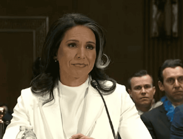 DNI Gabbard Unveils “Deep State” Roots, Vows To Uproot Politicized Intel