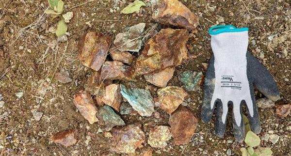 A junior miner unlocking high-grade potential in British Columbia