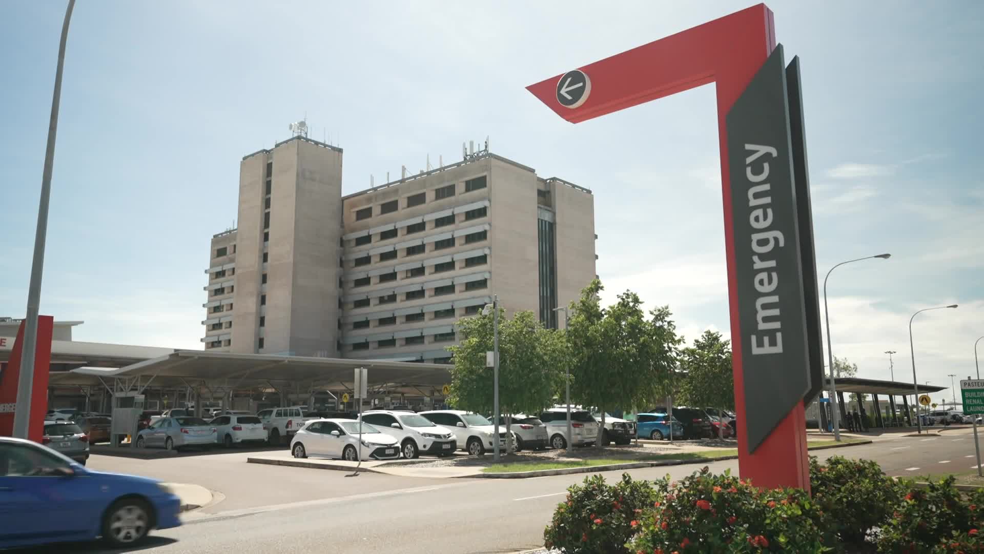 Child killed and two in hospital after crashing into feral pig