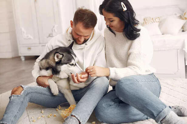 6 Reasons Adopting A Pet Will Change Your Life