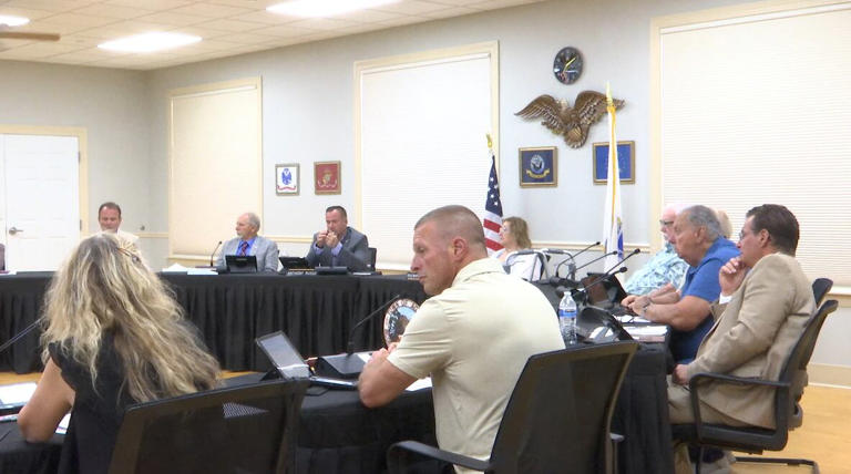 Residents question city leaders about license plate recognition cameras
