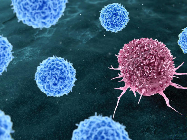 Mustang Bio Ignites Bullish Retail Buzz As FDA Grants Orphan Status To ...