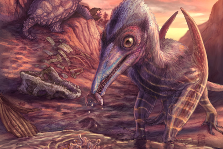 Scientists ID new pterosaur species small enough to perch on person’s ...