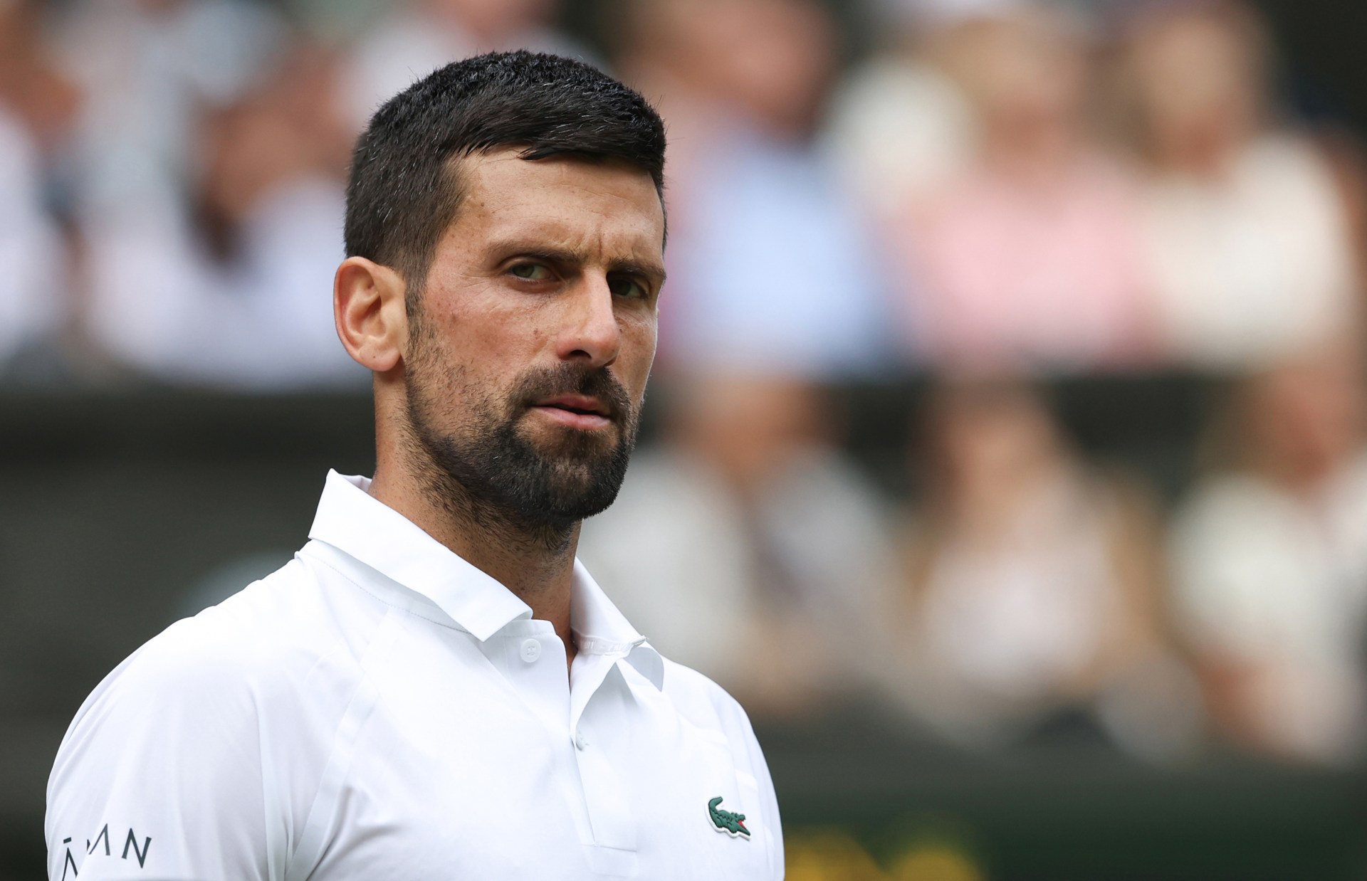 Novak Djokovic names two 'favourites' to win Wimbledon