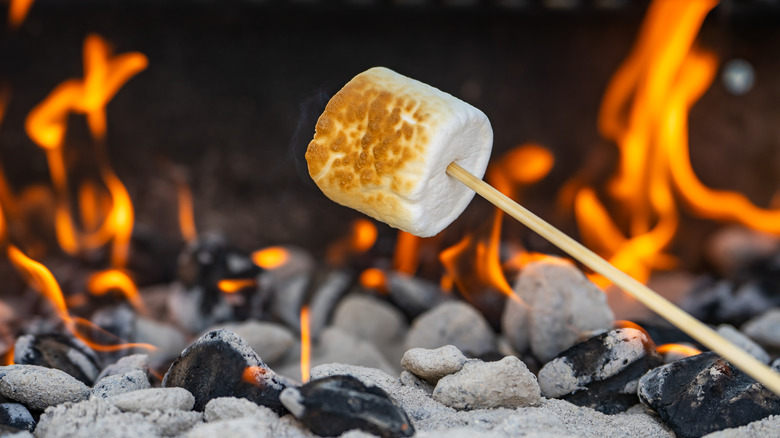 As It Turns Out, Marshmallows Have Been Around Since Ancient Times