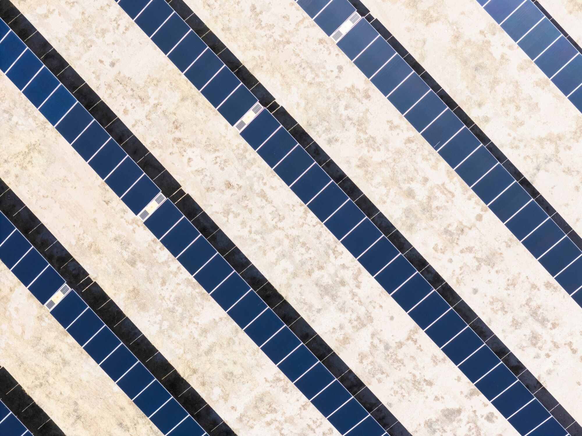 Solar Stocks Fall After Trump Orders Limit to Tax Credits