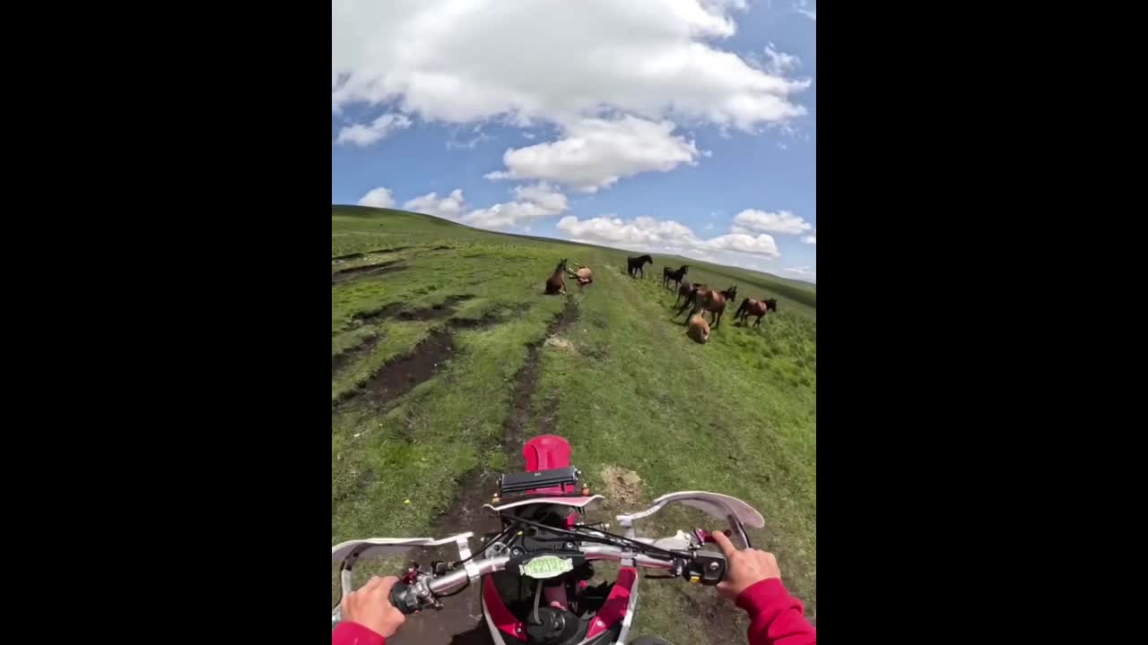 Man helps distressed horse stuck in muddy field in Grozny, Chechnya, Russia