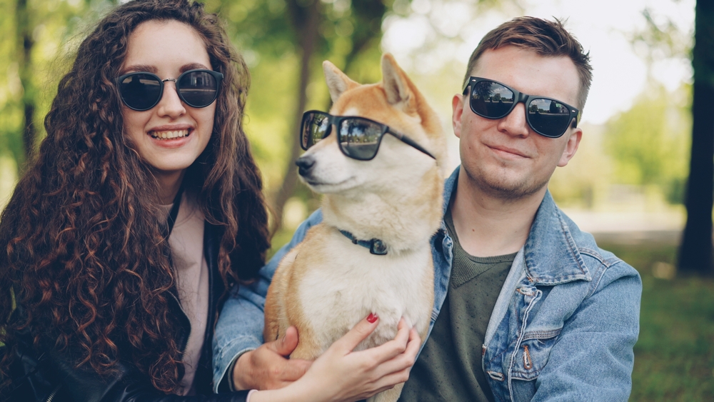 Dogs Develop Similar Personalities to Their Owners, Study Finds
