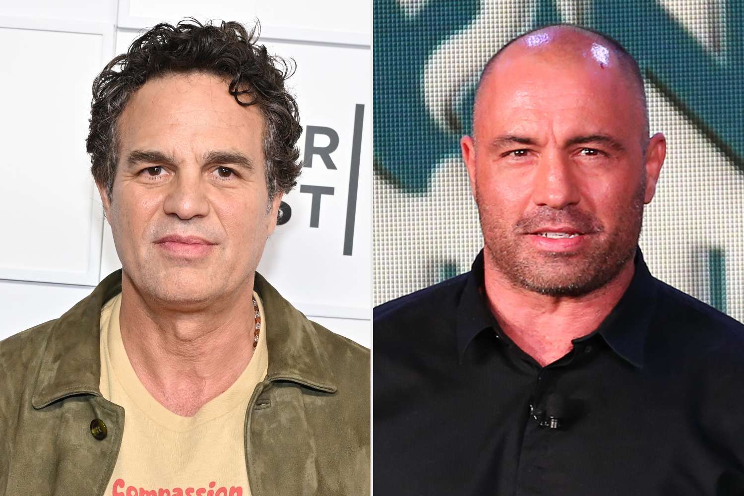 Mark Ruffalo slams Joe Rogan over criticism of ICE immigration raids ...