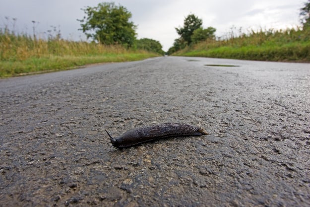 "The School Bus Blew Up": Teachers Are Sharing Student Stories That ...