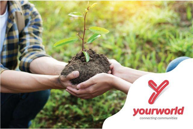 Balcombe Village Voice