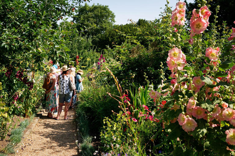 Charleston launches ‘7 Days of Summer’ with extended opening hours