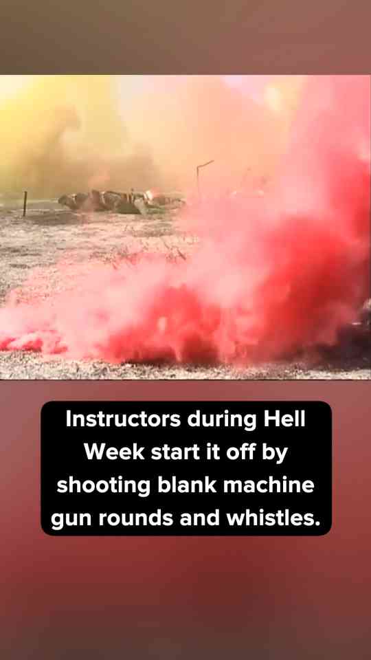 Navy SEAL Training Phase 1