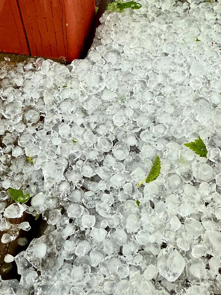 Hailstorm hits Calgary, residents share photos of the aftermath