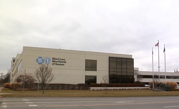 Blue Cross and Blue Shield of Kansas Foundation offers $200,000 in grants
