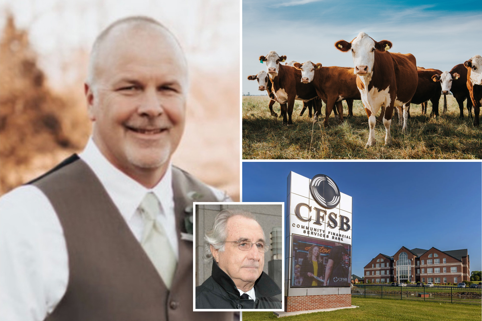 ‘Bernie Madoff of cows’ orchestrated $100M ‘ghost cattle’ Ponzi scheme ...