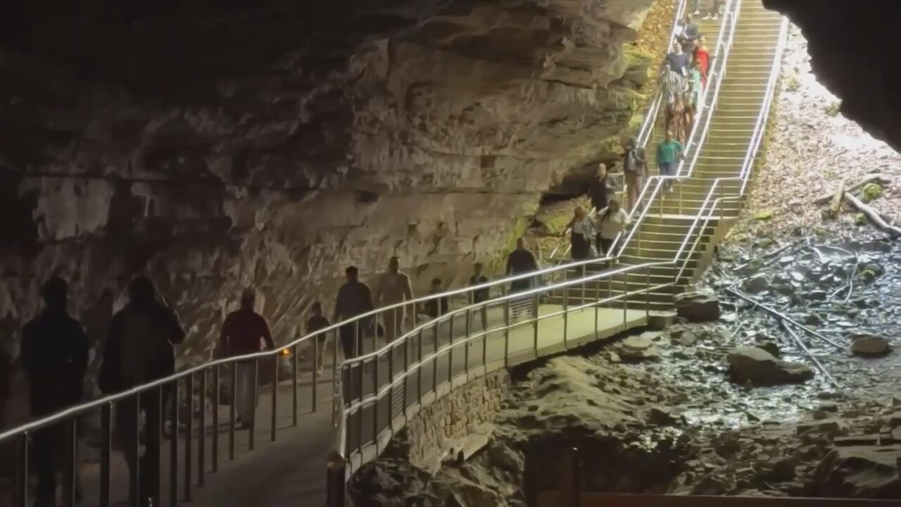 Piece of Mammoth Cave, Kentucky animal specimens to be on display at ...