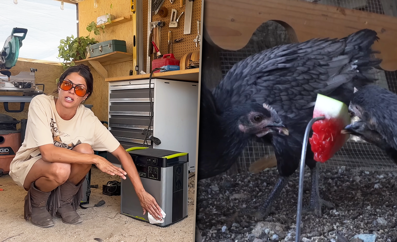 My secret to managing endless tasks!