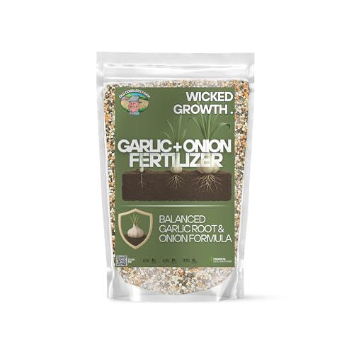 How to grow the biggest garlic ever – 6 expert steps for larger bulbs ...