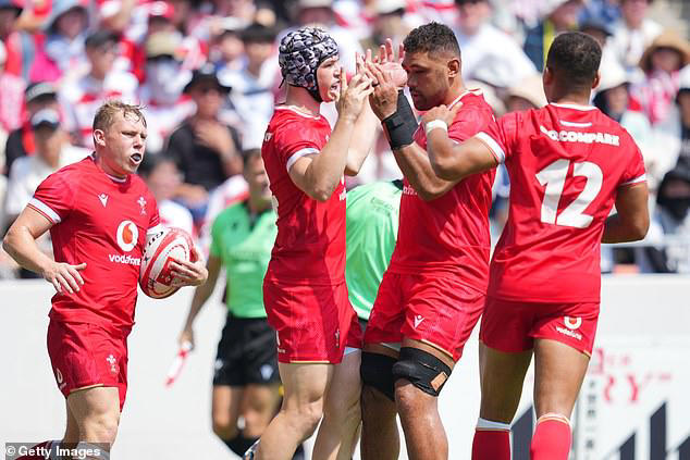 Welsh Rugby Union confirms plan for 'radical strategy' and likely team cut