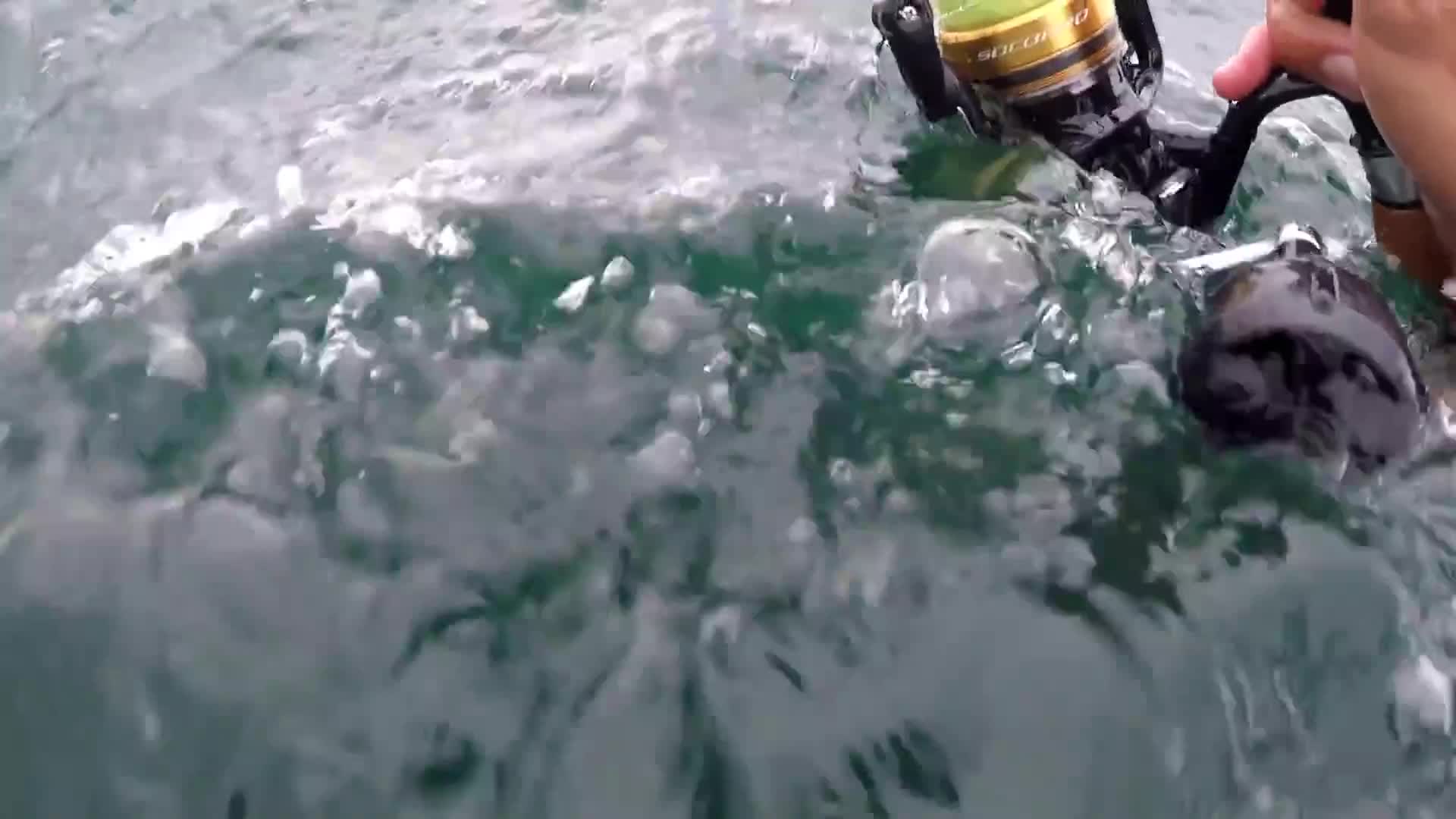 Testing a Mini Rod for Underwater Ocean Fishing