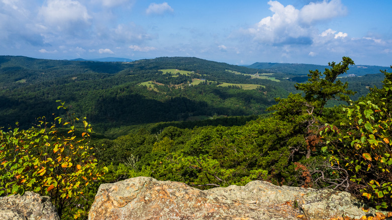 West Virginia's State Park Hidden In Wooded Mountains Has Cozy Cabins ...