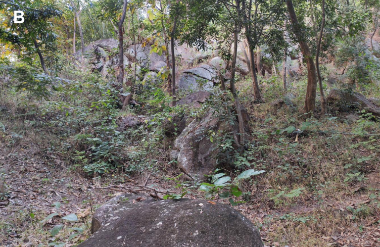 ‘Large'-eyed creature with ‘slender' fingers found at temple. It's a ...