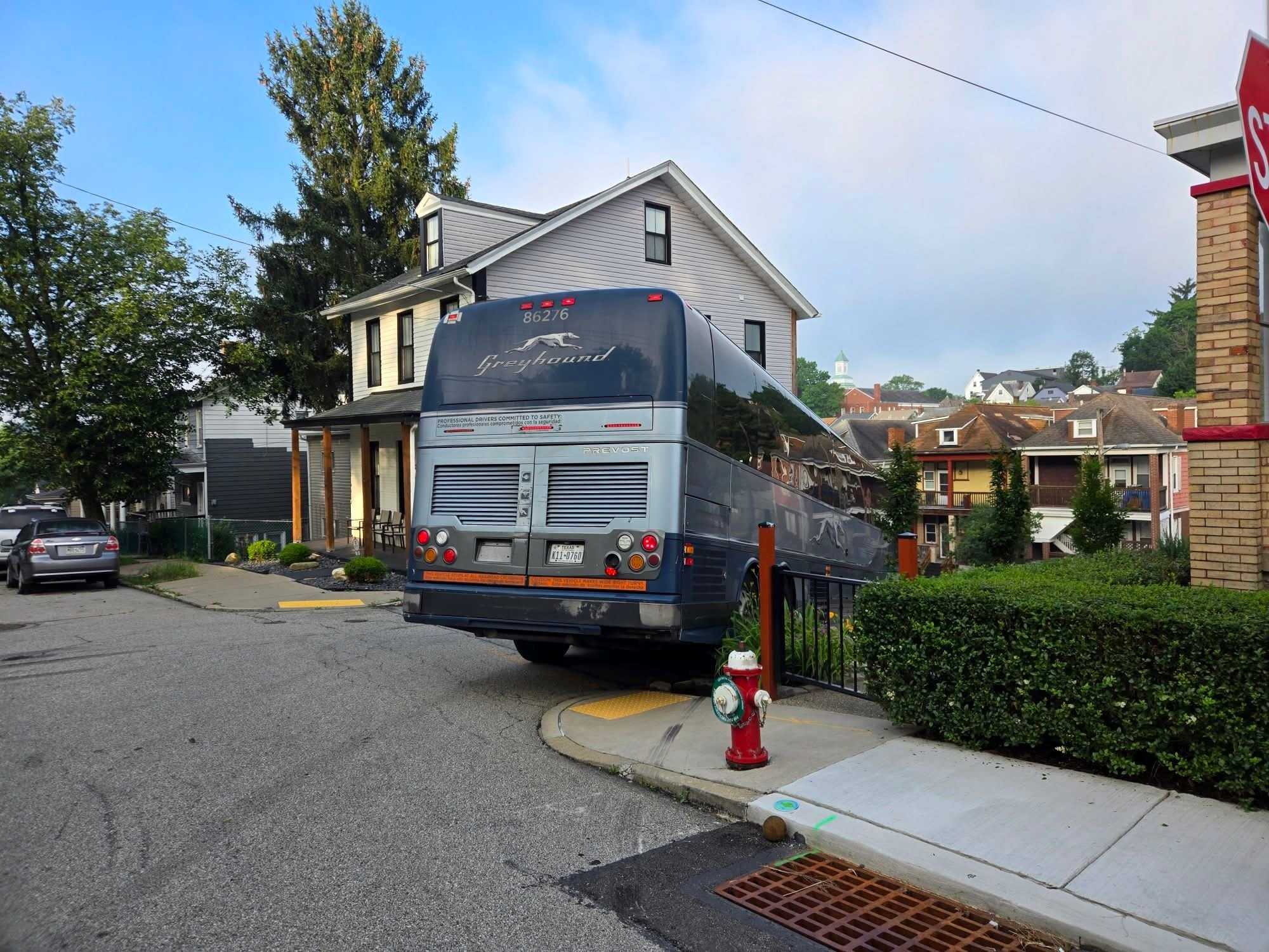 Greyhound issues statement after buses cause chaos along steep ...