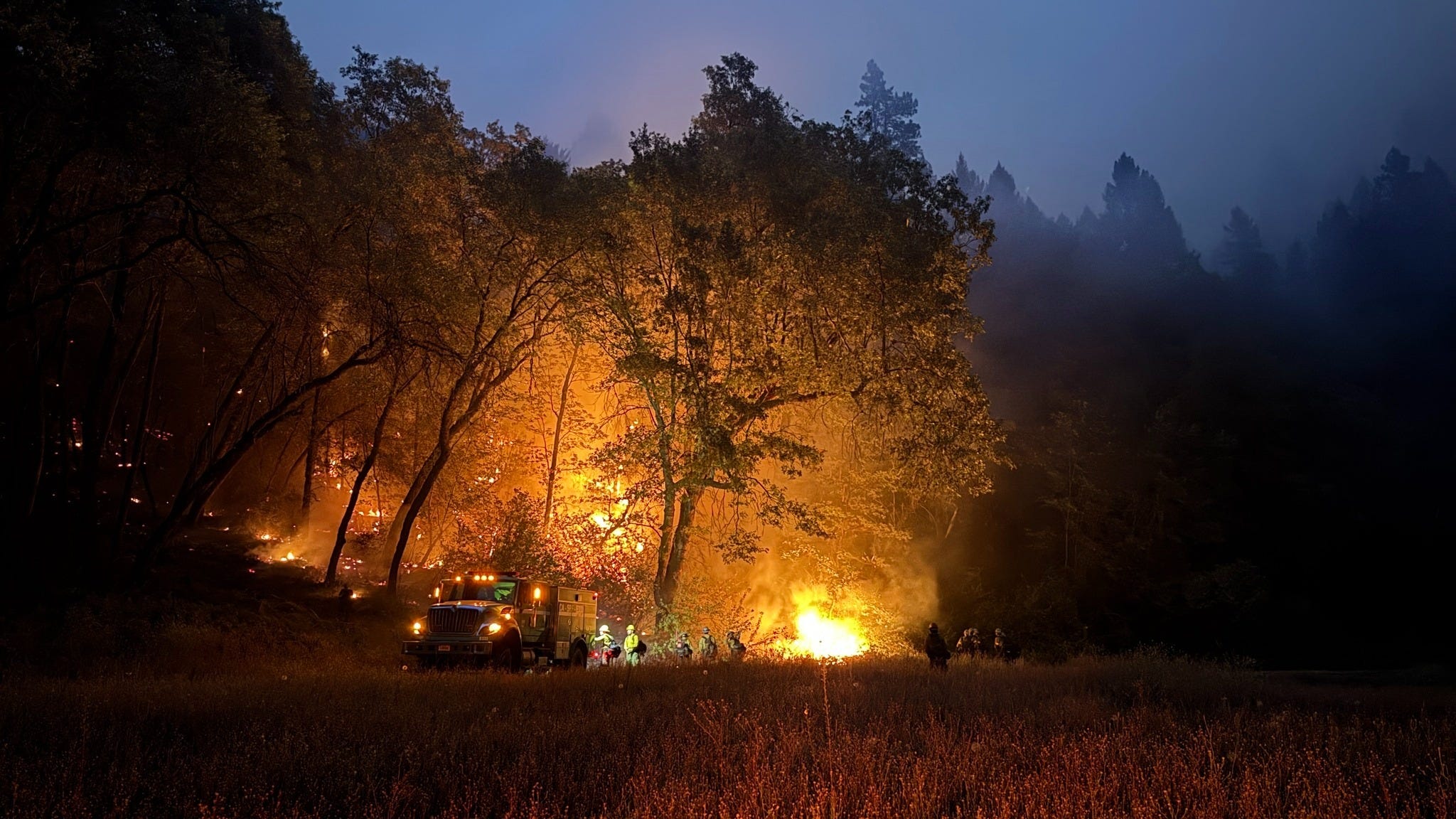Green Fire grows 1,000 acres on Lake Shasta's Pit River arm in Shasta ...