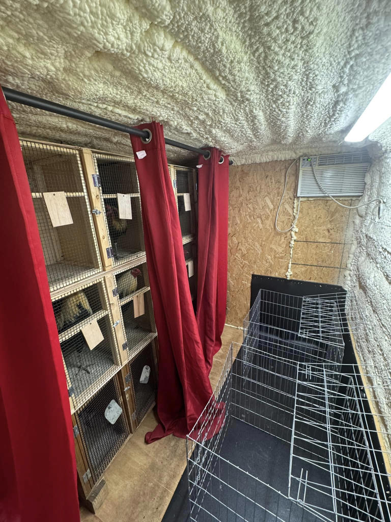 9 arrested after weekend Athens cockfight investigation