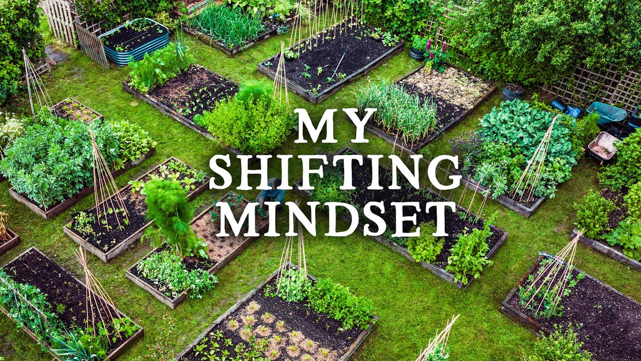 The Danger of No Dig | A Personal Story