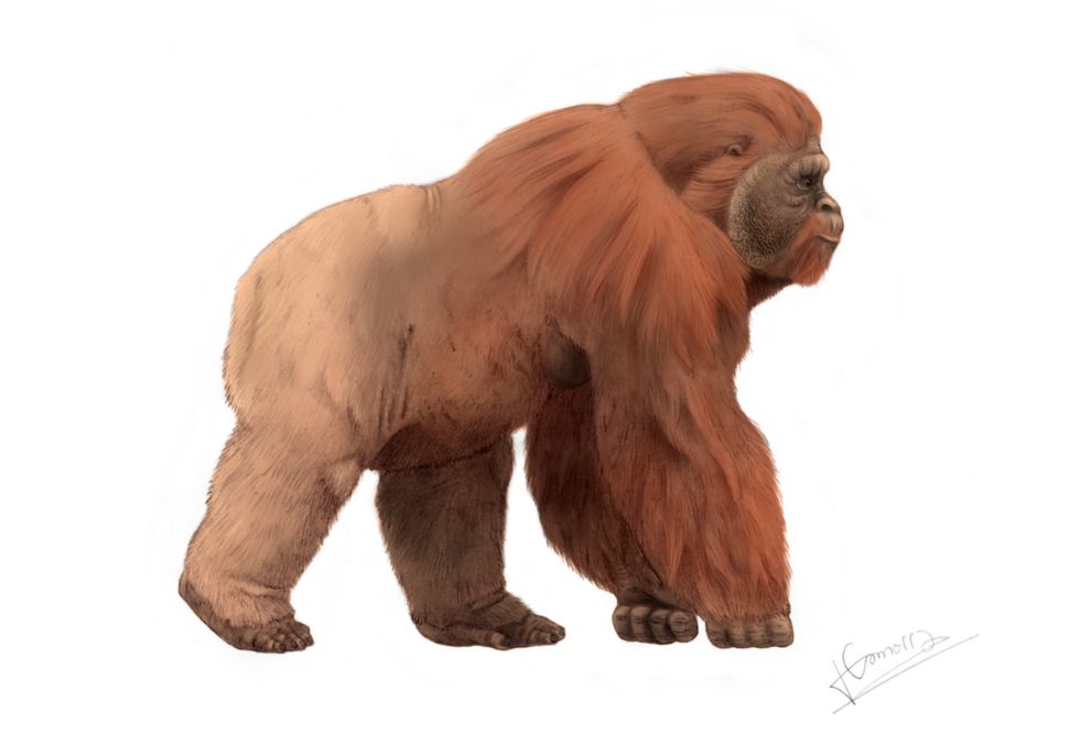 12 Prehistoric Monsters That Might Not Be Legends After All