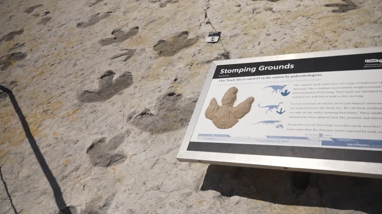 Dinosaur Ridge discovery reveals huge dinosaur mating dance arena